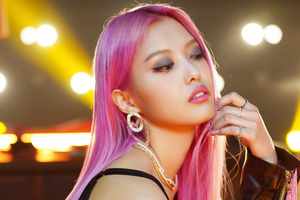 AHIN Profile & Facts - karchives